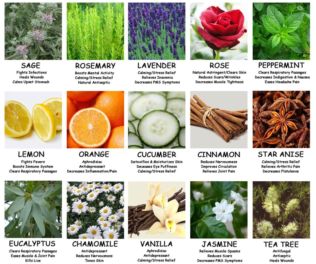 Aromatherapy: Using Scents for Health and Well-being - std test clinic